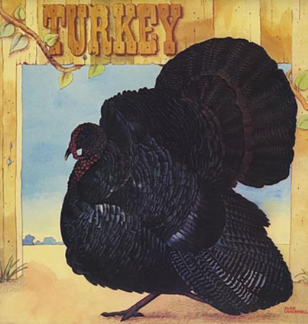 Amazon.com: Turkey: CDs & Vinyl