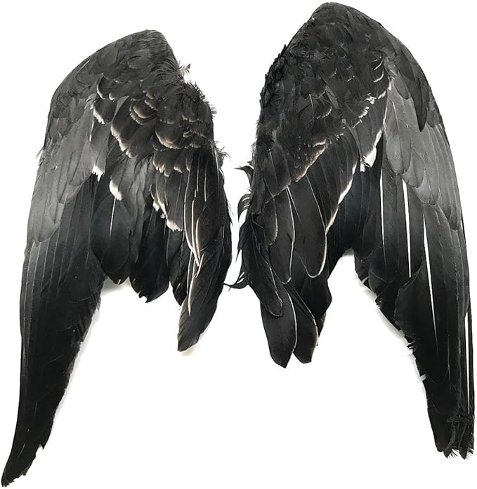 Amazon.com: Complete Grey Goose Wings - per Pair (Grey) : Arts, Crafts ...