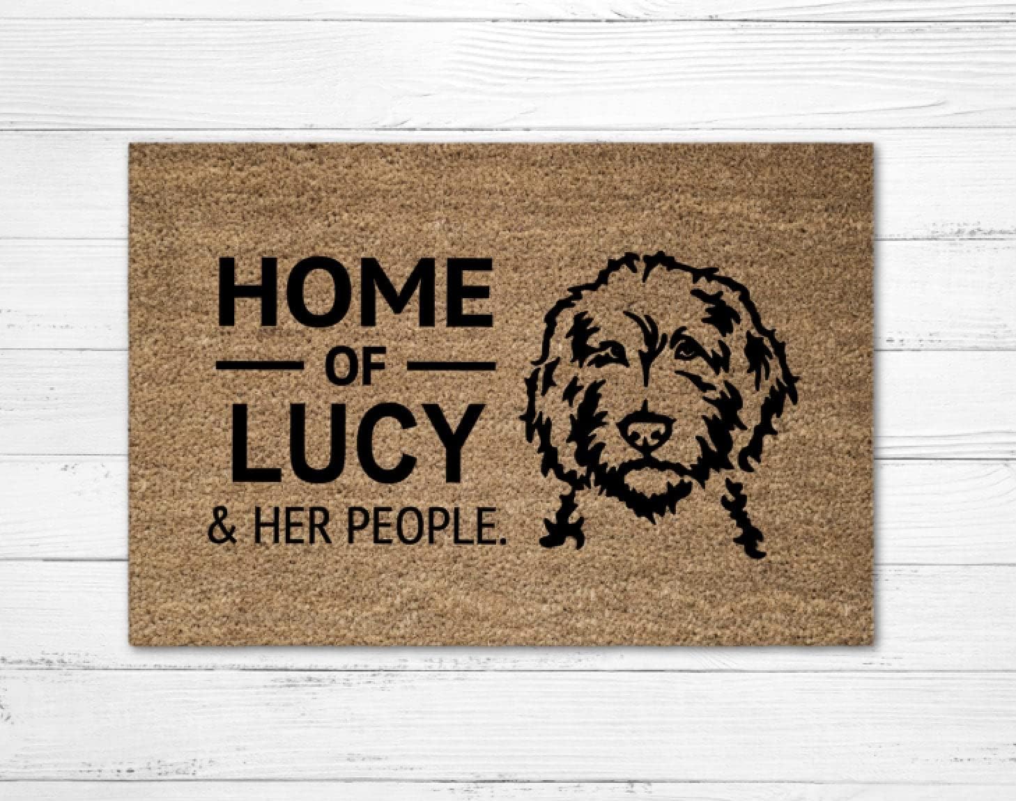 Amazon.com: Goldendoodle & His/her People Dog Doormat Rug, Door Mat ...