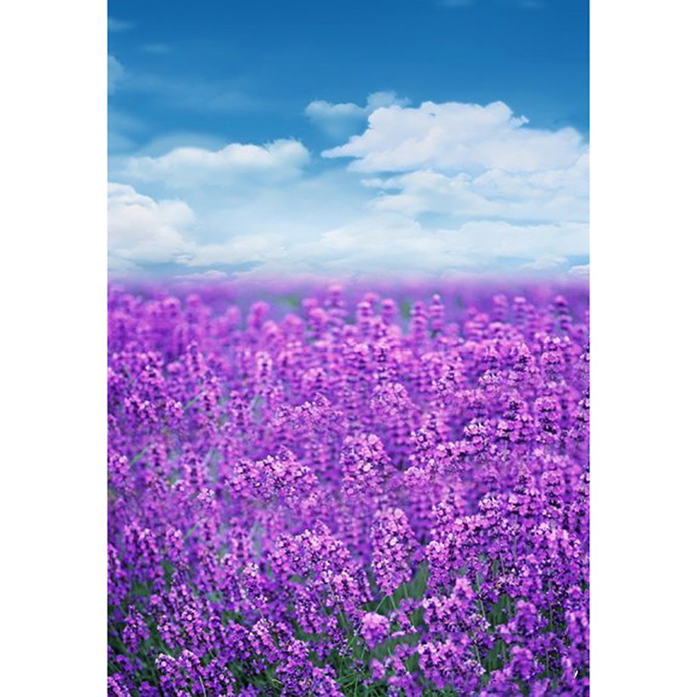 Xisheep Vinyl Background Vinyl Fascinating Scenery Photography Studio ...