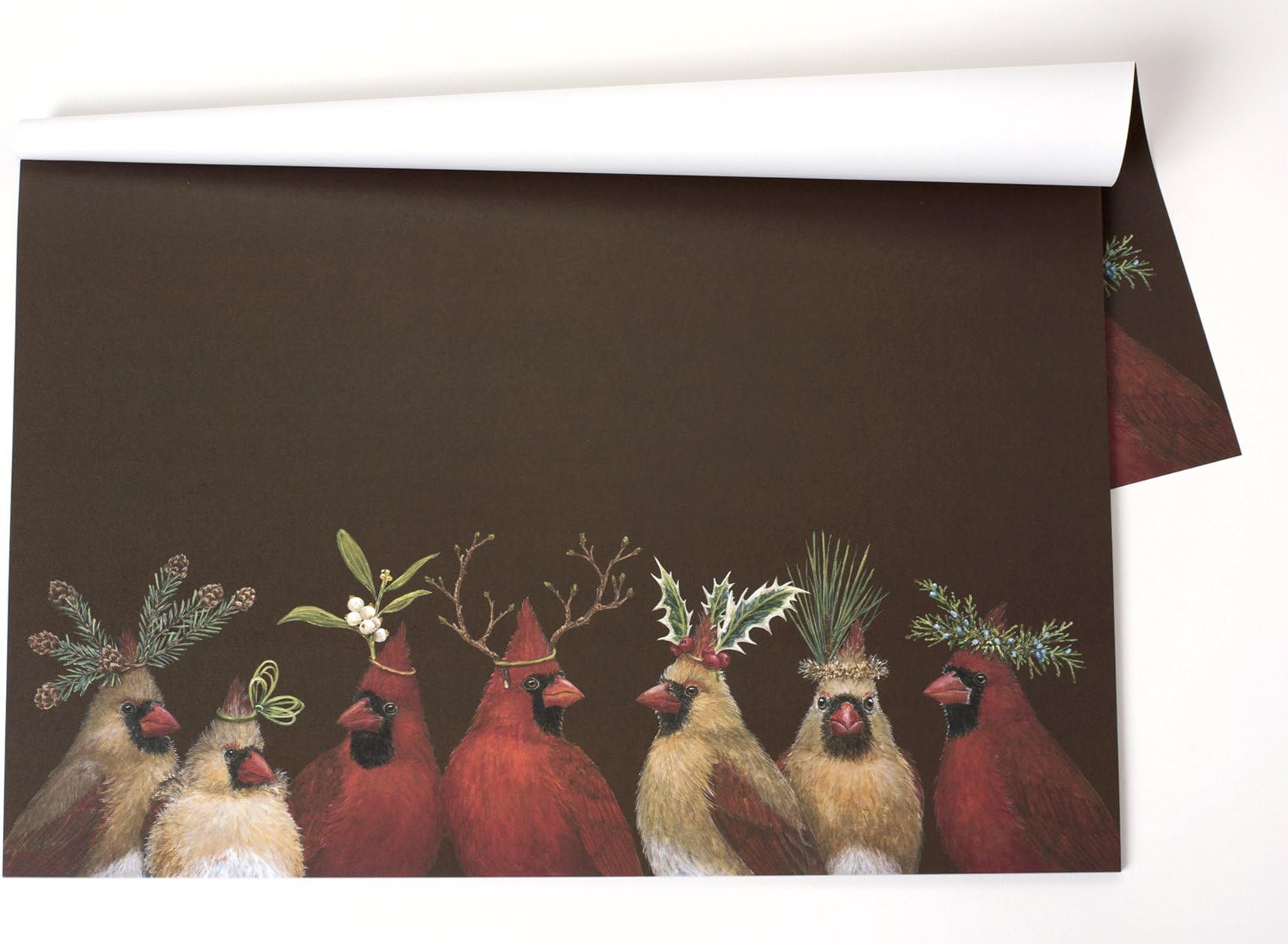 Amazon.com: Kitchen Papers Winter Owls Paper Placemat Set : Home & Kitchen