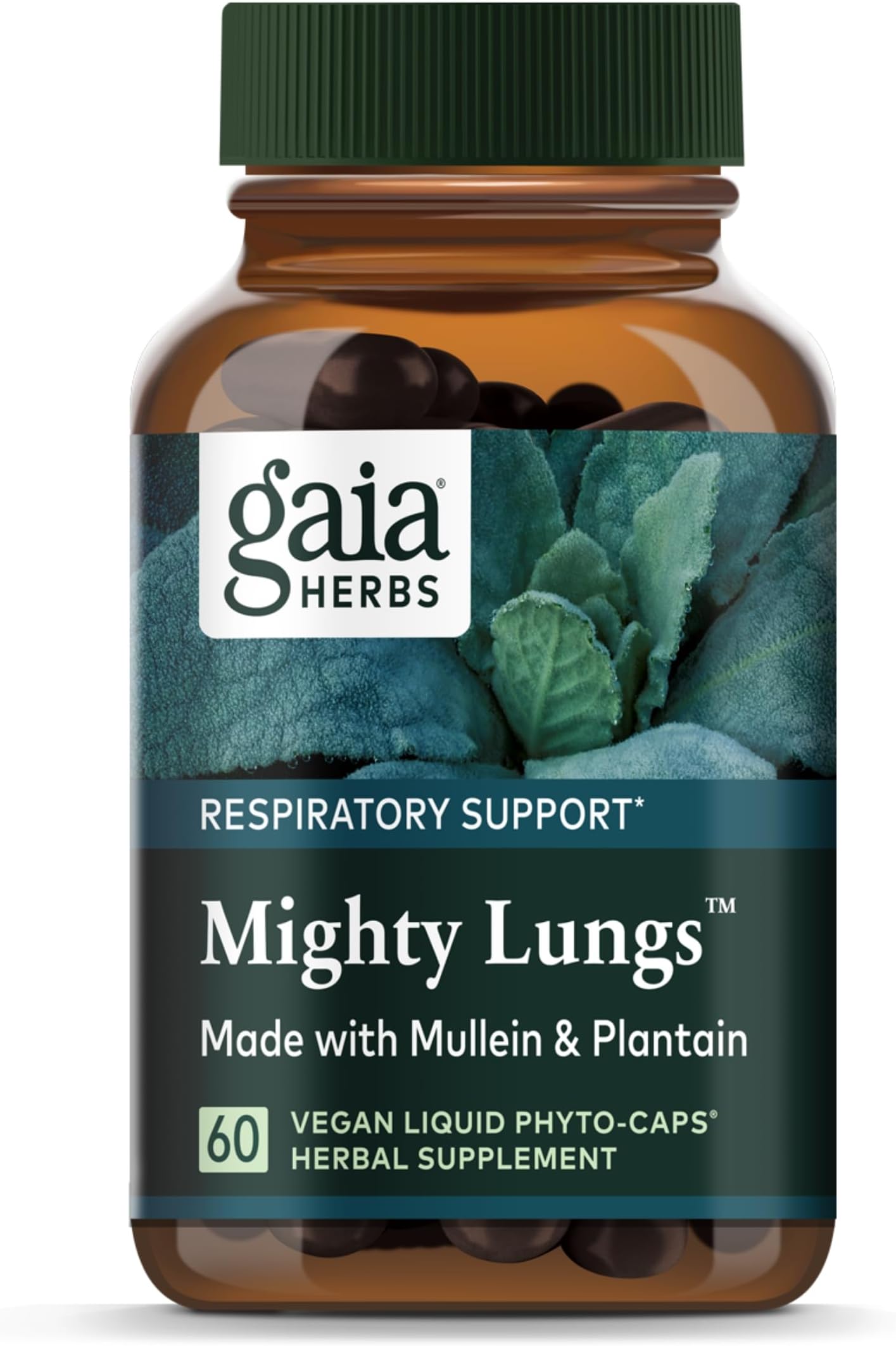 Amazon.com: Gaia Herbs Mighty Lungs - Lung Support Supplement to Help ...