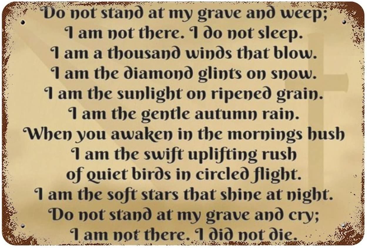 Amazon.com: Tin Sign Vintage Chic Art Decoration Do Not Stand at My ...