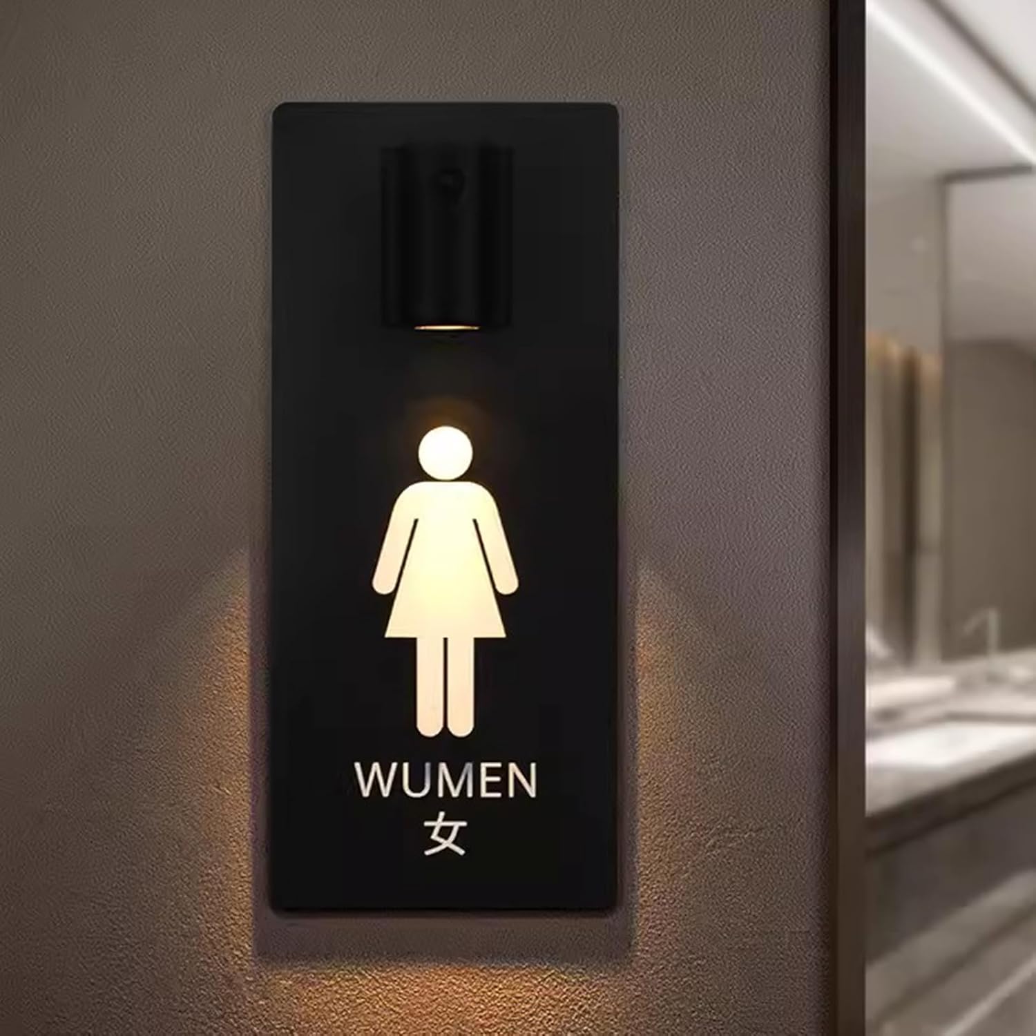 Amazon.com: DAOUXIAOSP LED Restroom Sign with Lamp, Acrylic Light Up ...