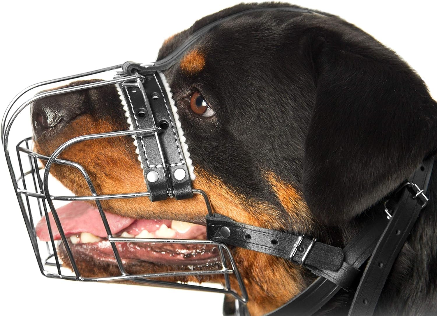 Amazon.com : Metal Muzzles for Dog Rottweiler #2 Wire Basket Adjustable ...