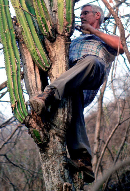 Amazon.com: James D. Mauseth: books, biography, latest update