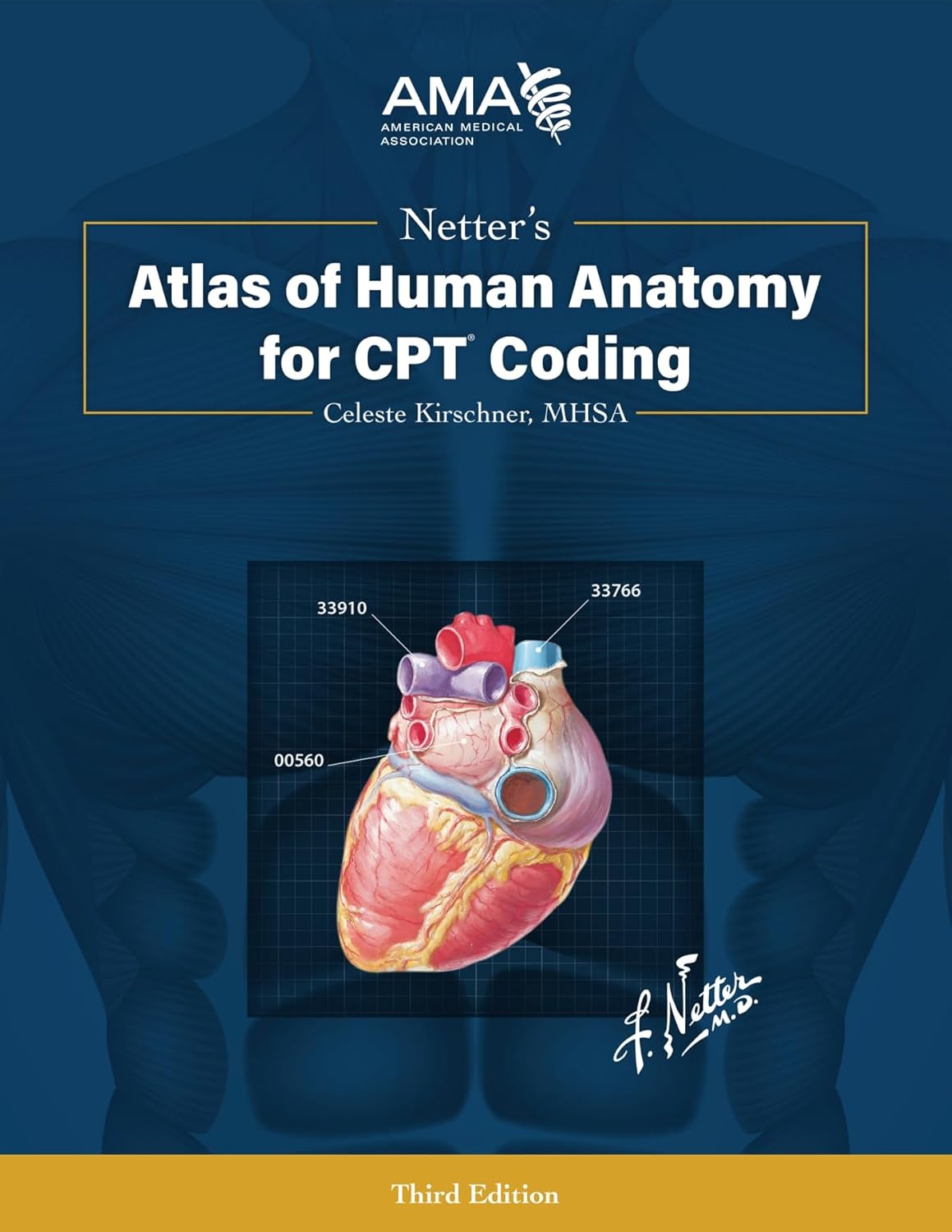 Netter's Atlas of Human Anatomy for CPT Coding | Amazon.com.br