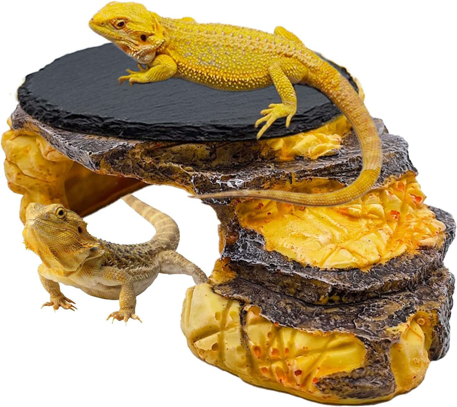 Amazon.com : JWIZYOTR Bearded Dragon Basking Platform, Turtle Basking ...