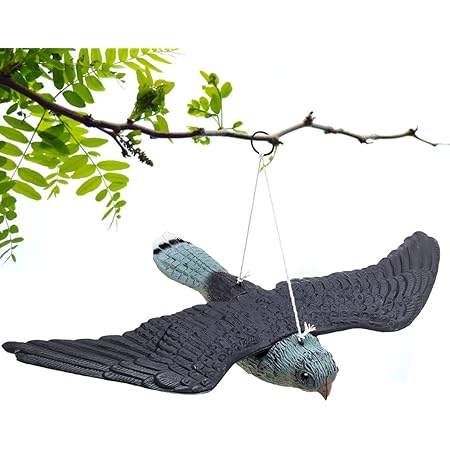 Amazon.com : Premium Bird Repellent Fake Flying Hawk Decoy by BriteNway ...