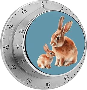 Amazon.com: Rabbit Mama and Little 60 Minute Wind Up Timer Clock ...