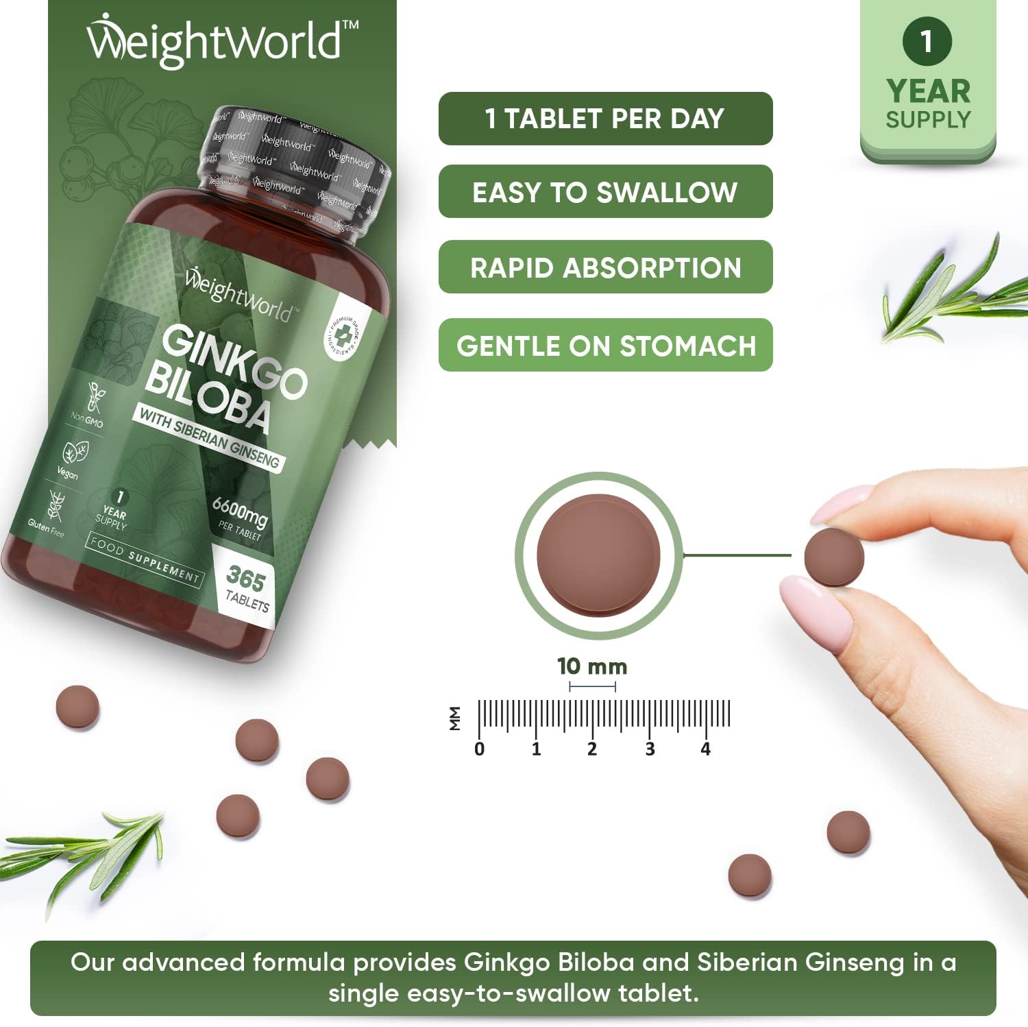 Ginkgo Biloba 6000mg & Ginseng 600mg – 1 Year Supply – Standardized 24% ...