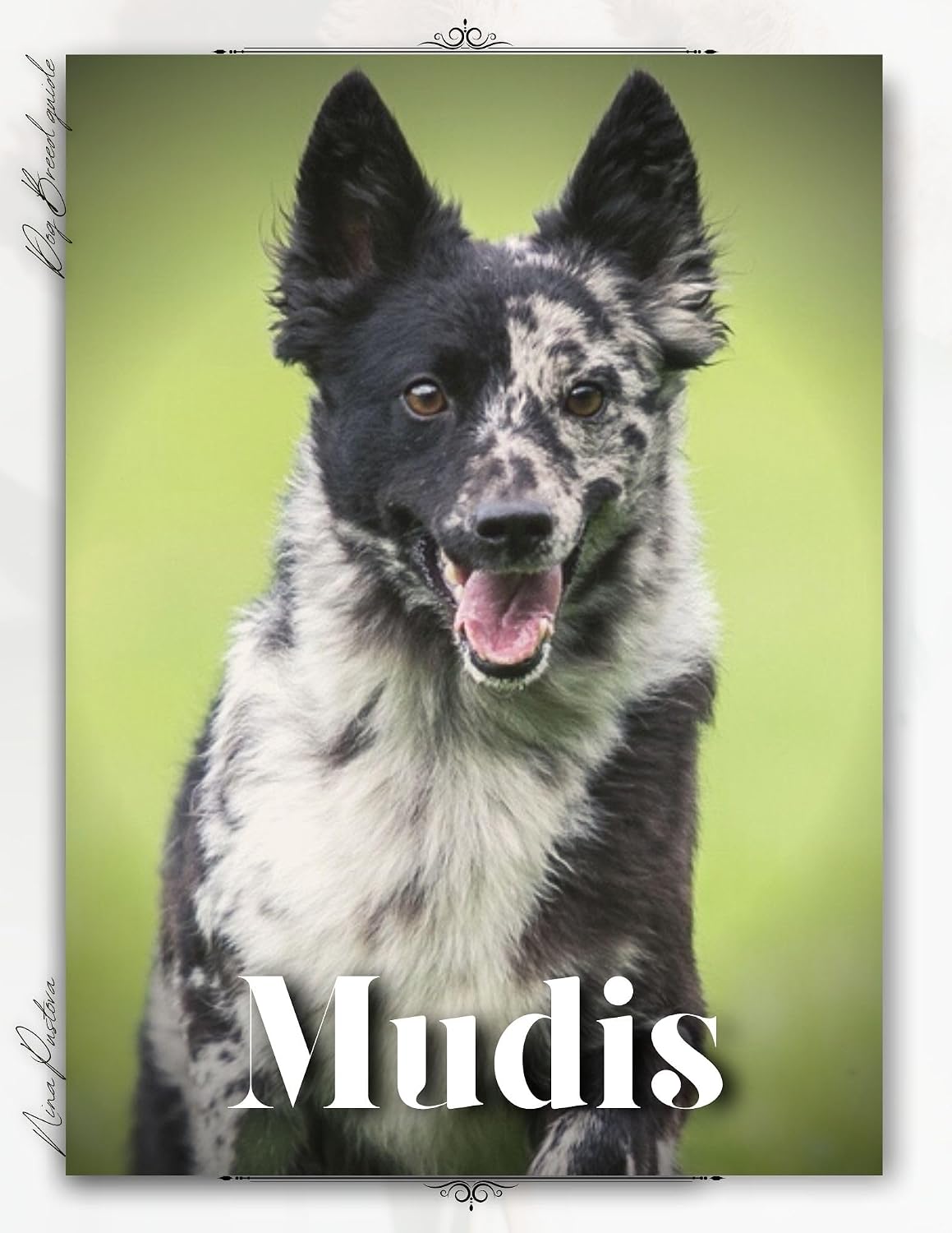 Mudis: Dog breed overview and guide - Kindle edition by Pustova, Nina ...