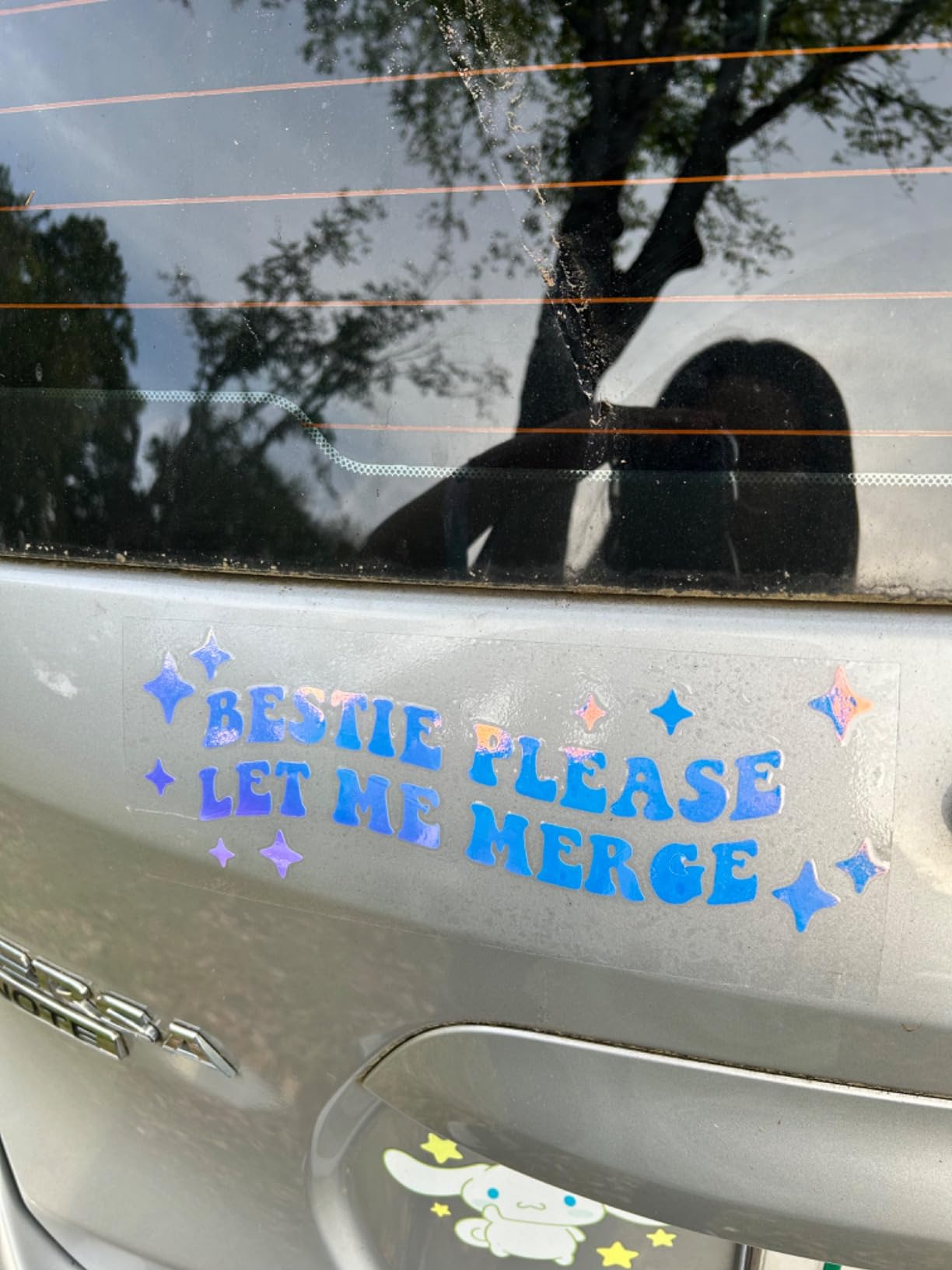 Amazon.com: 2 x Stay Feral Bumper Sticker Vinyl Decal for Cars Vinyl ...