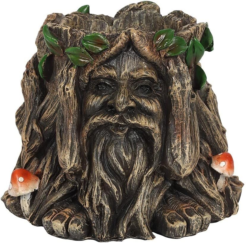 ProdBuy Limited Decorative Tree Stump Face Planter - Winking Face ...