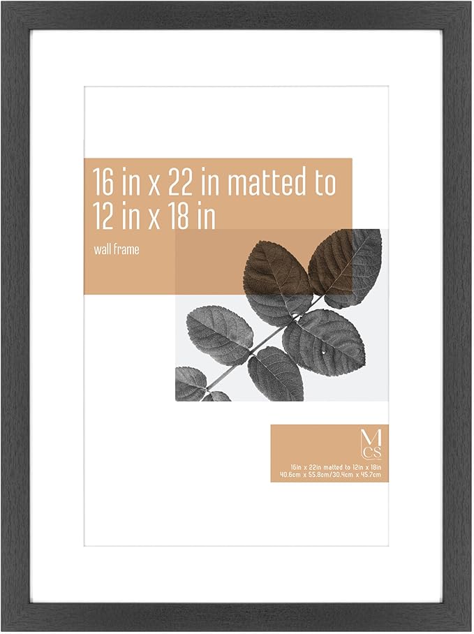 Amazon.com - MCS Studio Gallery 16x22 Poster Frame, Display Pictures ...