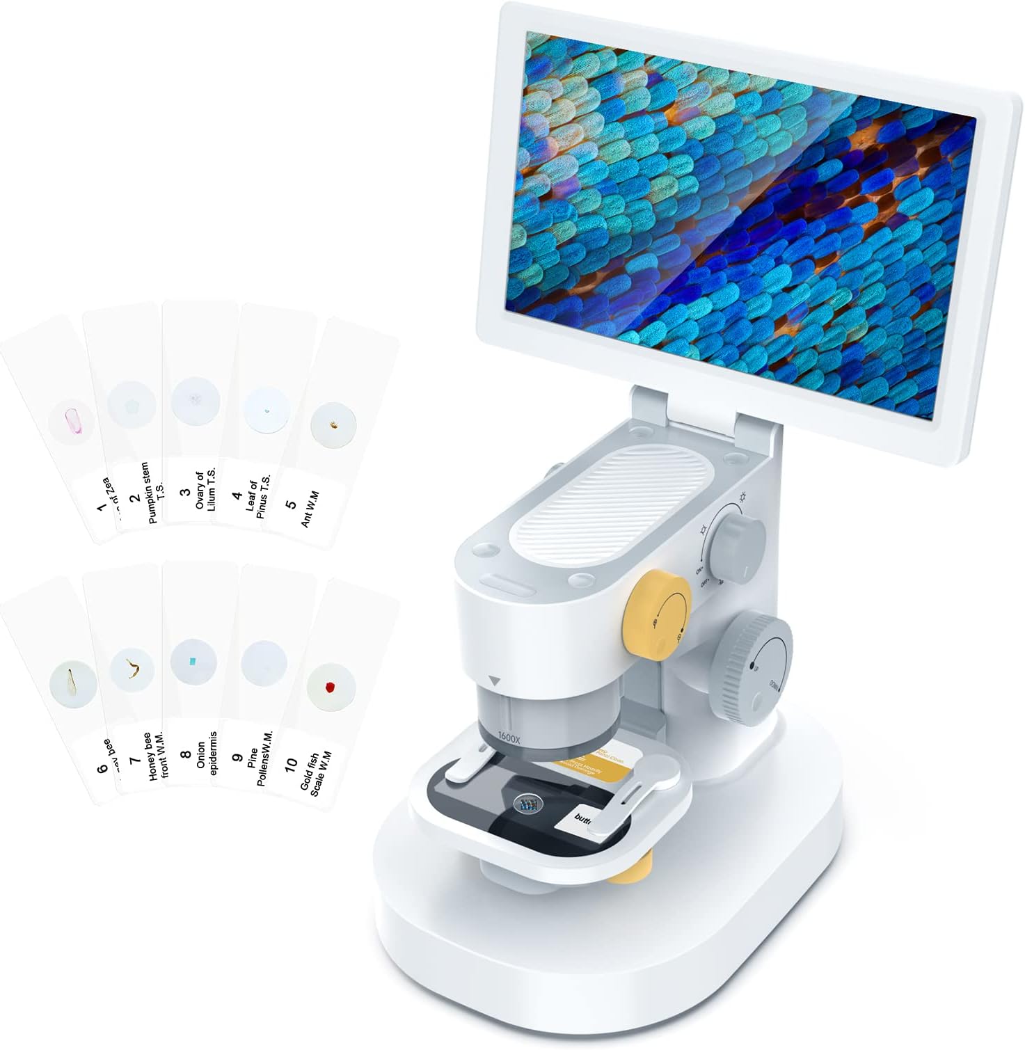 Amazon.com : SVBONY SM101 Digital Microscope for Adults, Microscope ...