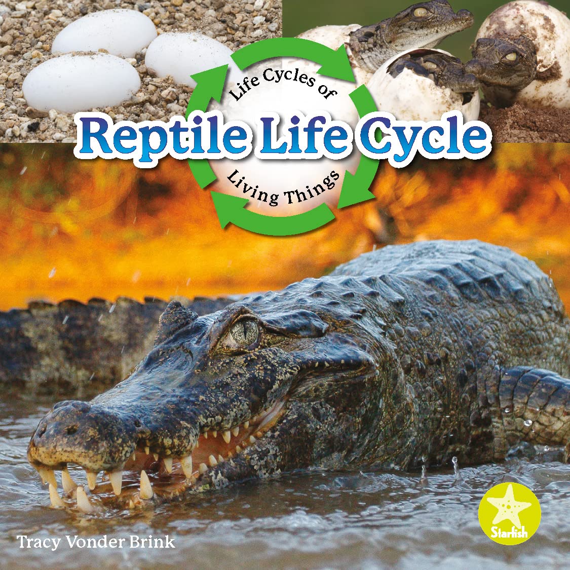 Reptile Life Cycle (Life Cycles of Living Things) : Brink, Tracy Vonder ...