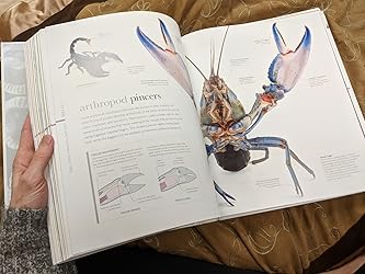 Zoology: Inside the Secret World of Animals (DK Secret World ...