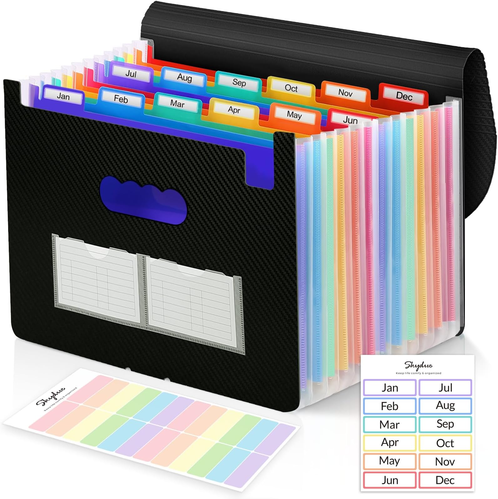Amazon.com : Amazon Basics Expanding Organizer File Folder, Letter Size ...