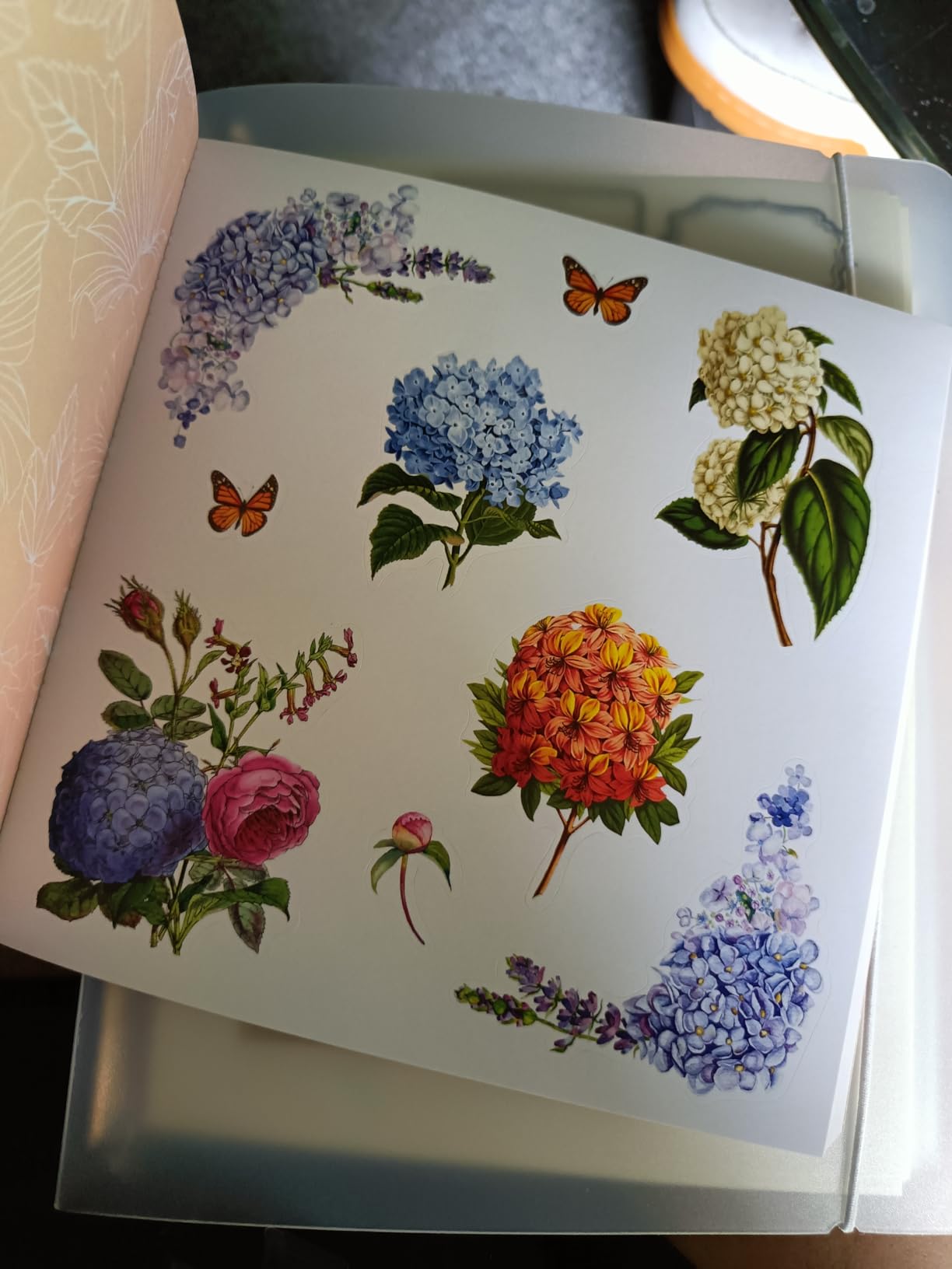 Bunches of Botanicals Sticker Book (Over 500 stickers!) : Peter Pauper ...