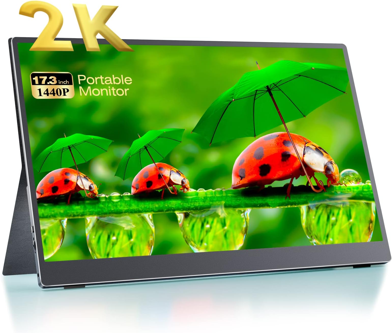 Amazon.com: 2K 17.3 Inch Portable Monitor, WQHD 1440P 100% sRGB Travel ...