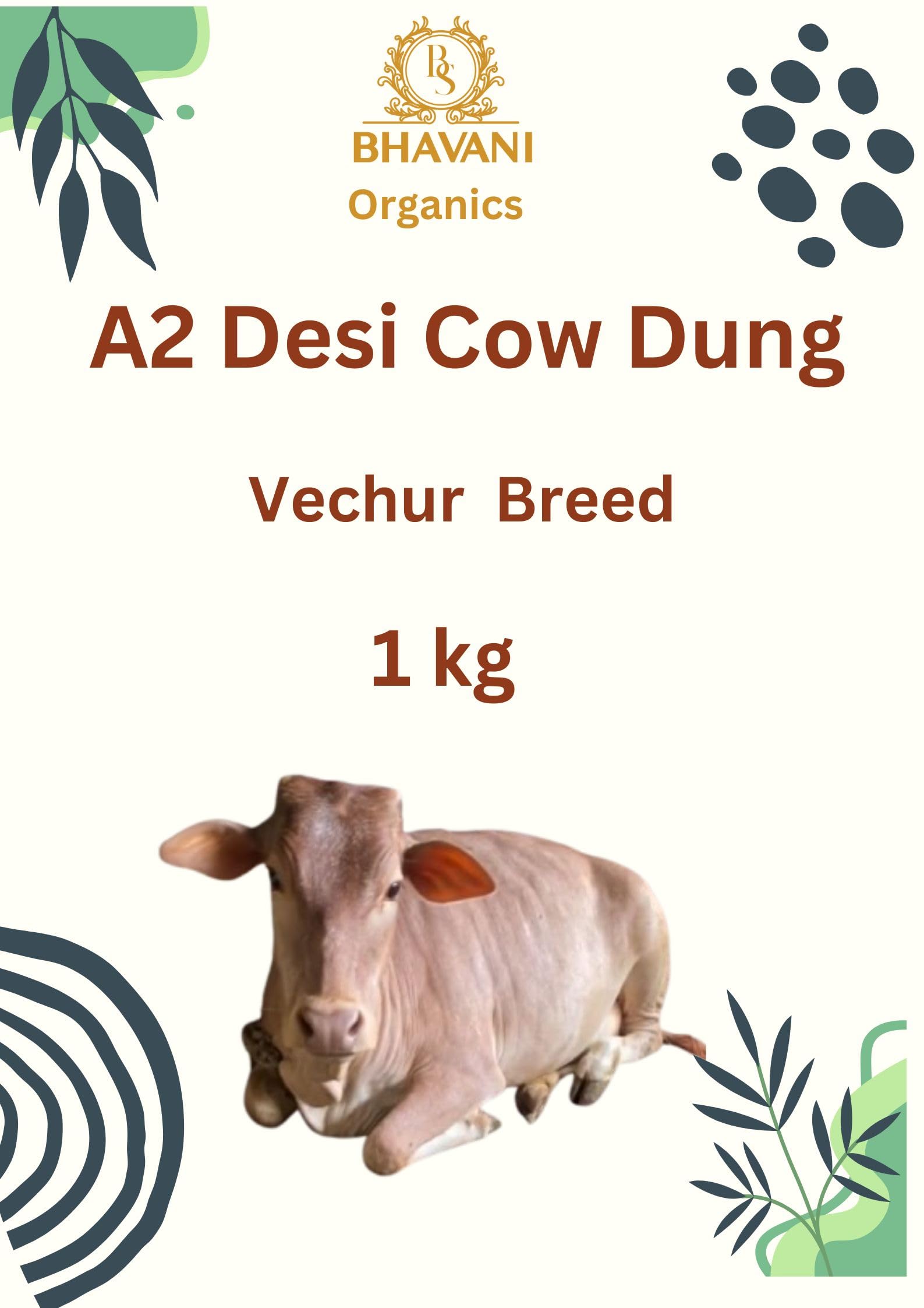 Dried Desi Cow Dung – Pure & Organic for Agriculture, Gardening, and ...