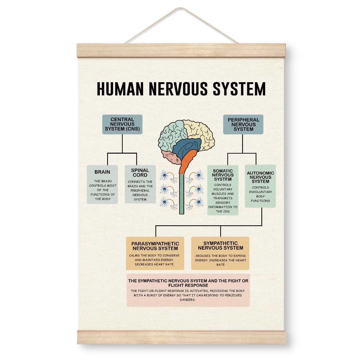 Amazon.com: Yxadu Therapy Decorations, Canvas Poster Wood Hanger, Human ...