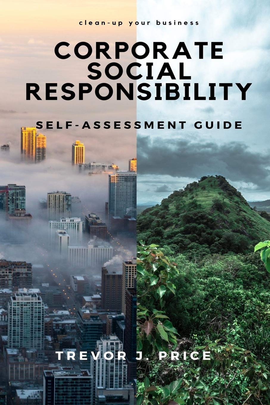 Corporate Social Responsibility: Self-Assessment Guide: Price, Dr ...