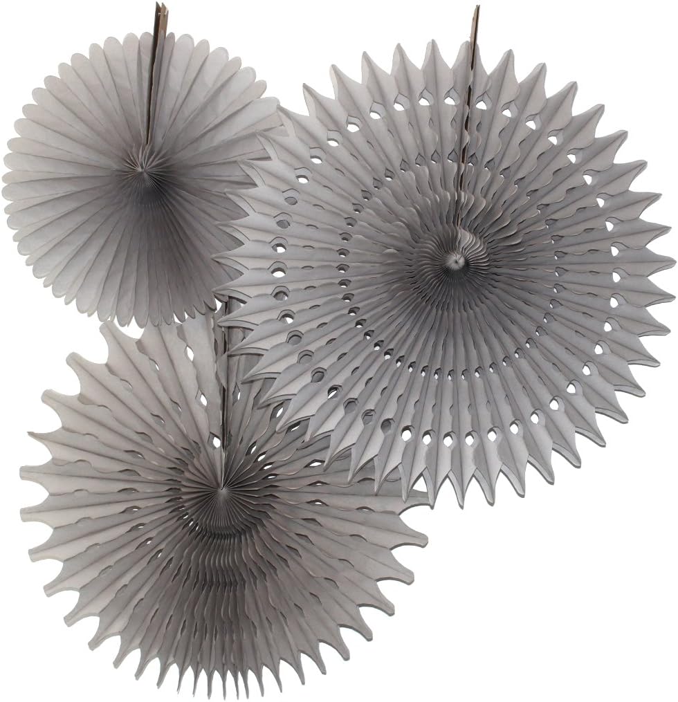 Amazon.com: Set of 3 Honeycomb Tissue Fans, Gray (13-21 Inch) : Home ...
