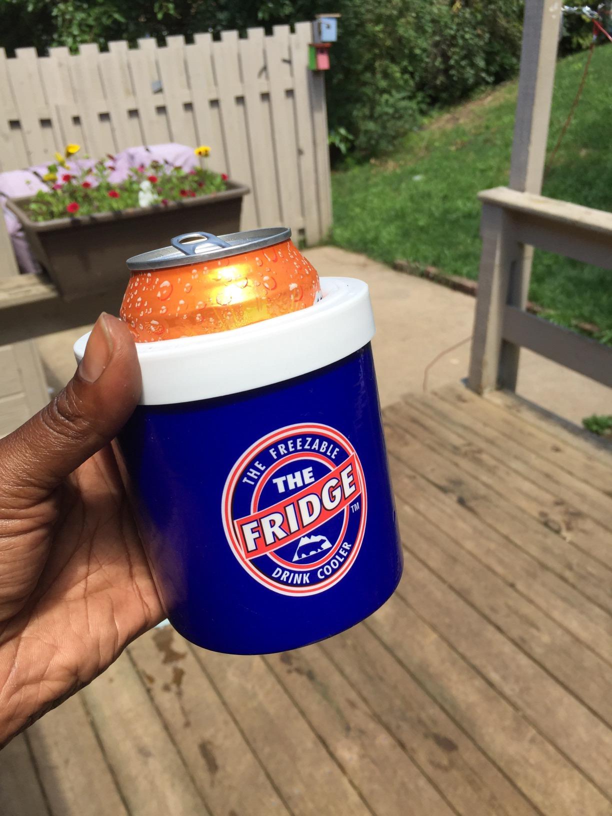 Amazon.com: The Fridge Freezable Drink Cooler 2 Pack : Home & Kitchen