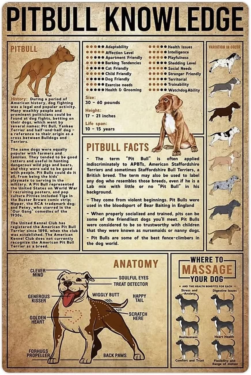 Amazon.com: Pitbull Knowledge Metal Tin Signs Retro Pitbull ...