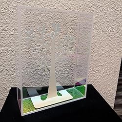 Amazon.com - Acrylic Shadow Box, Transparent Shadow Box Frame, Deep ...