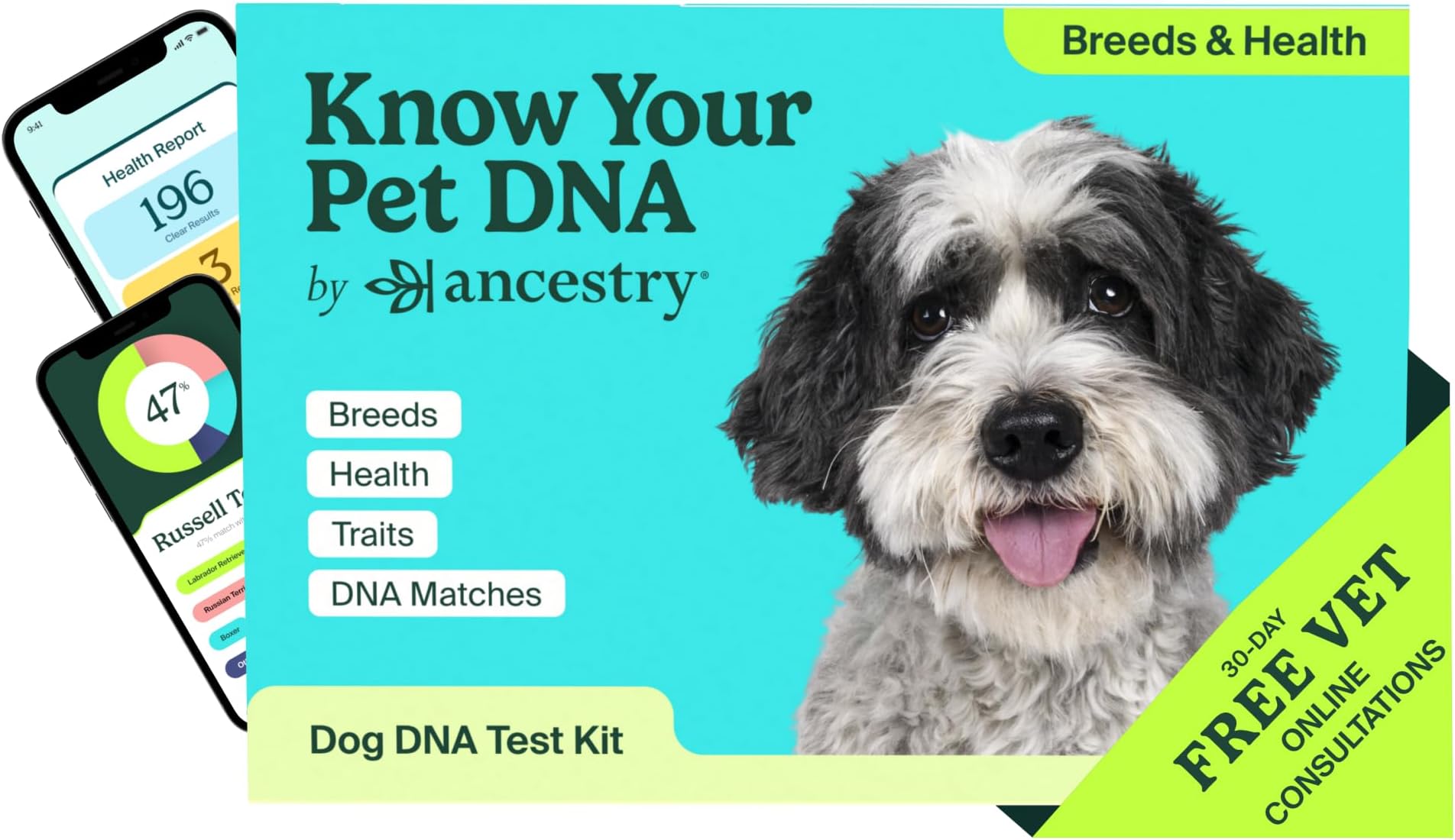Amazon.com : Dog DNA Test by Ancestry: The Top-Selling DNA Consumer ...