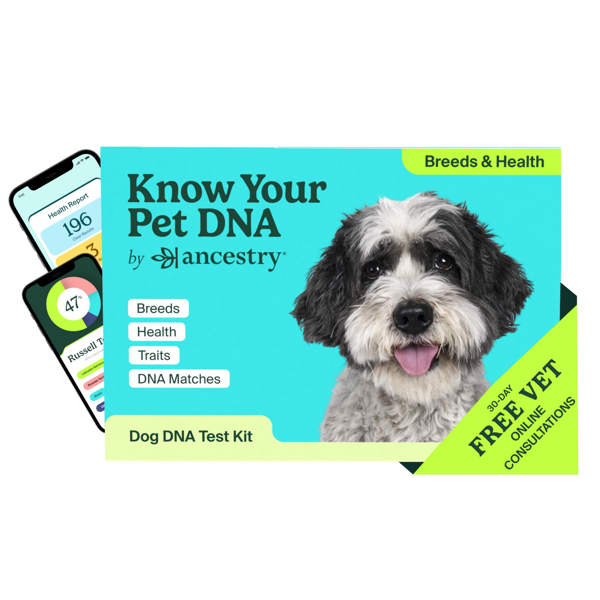 Amazon.com : Dog DNA Panel Test Kit by Ancestry, The Leader in at-Home ...