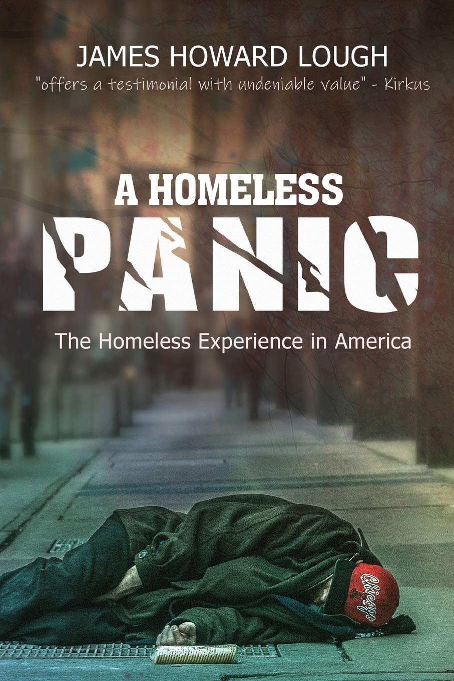 A Homeless Panic: The Homeless Experience in America: James Lough ...