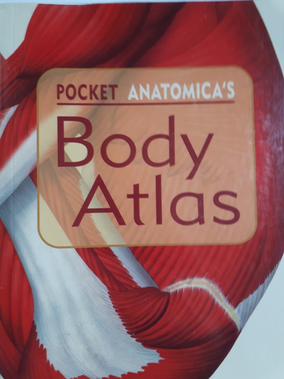 Pocket Anatomica's Body Atlas (Pocket Anatomica's Body Atlas): N-A ...