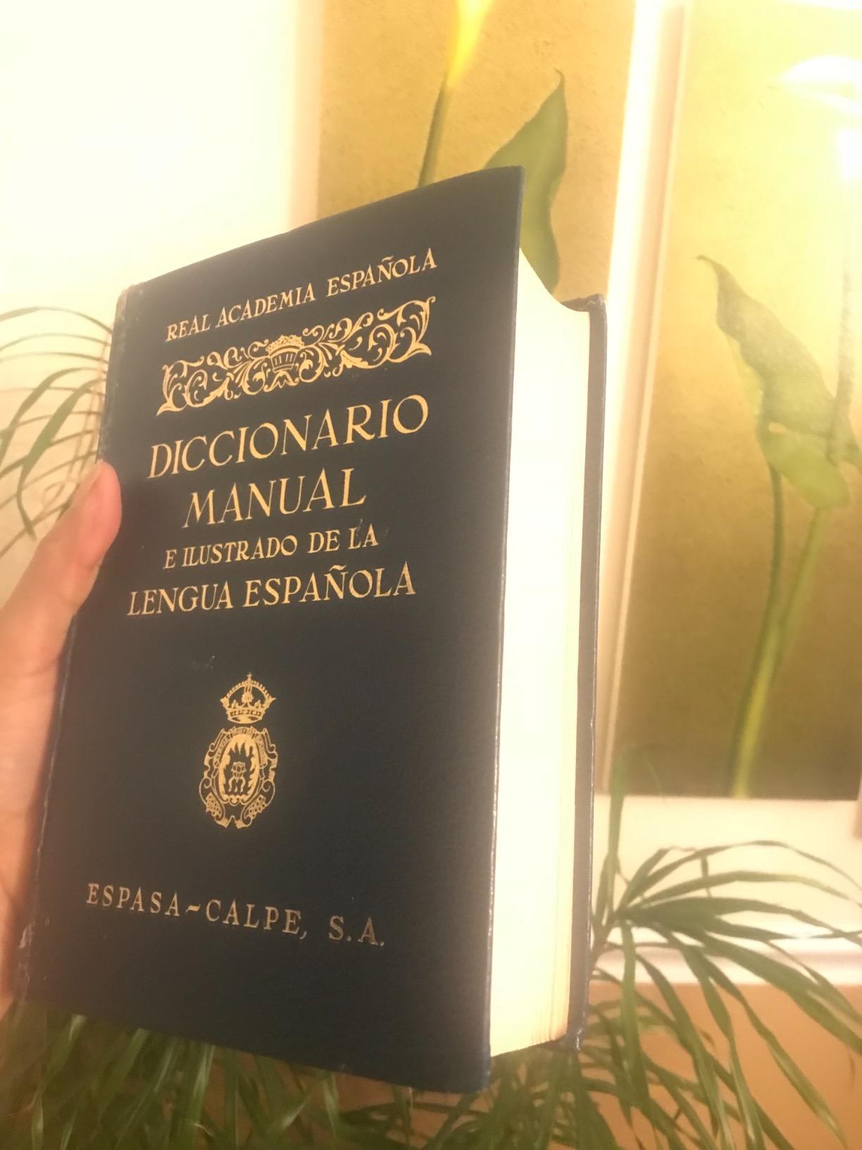 Amazon.com: Diccionario Esencial Lengua Espanola de la Real Academia ...