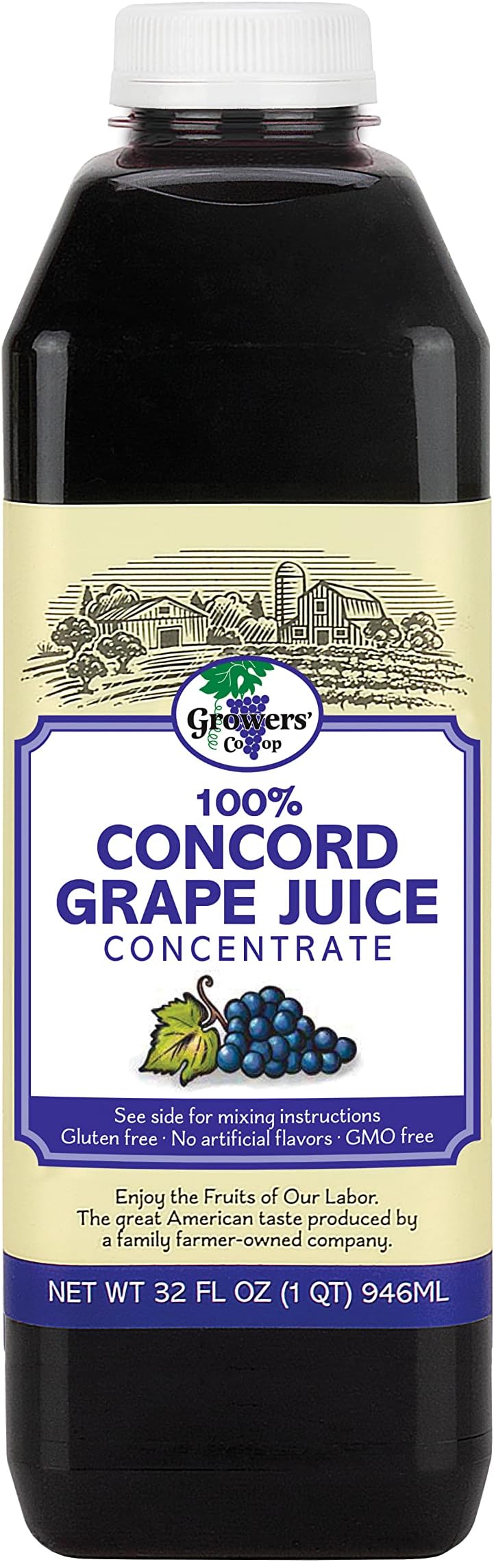 Amazon.com : 100% Concord Grape Juice Concentrate : Grocery & Gourmet Food