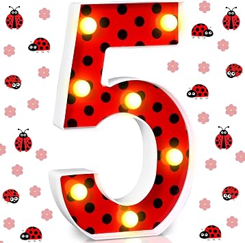 Amazon.com: Havawish Ladybug Birthday Party Decoration Decorative LED ...