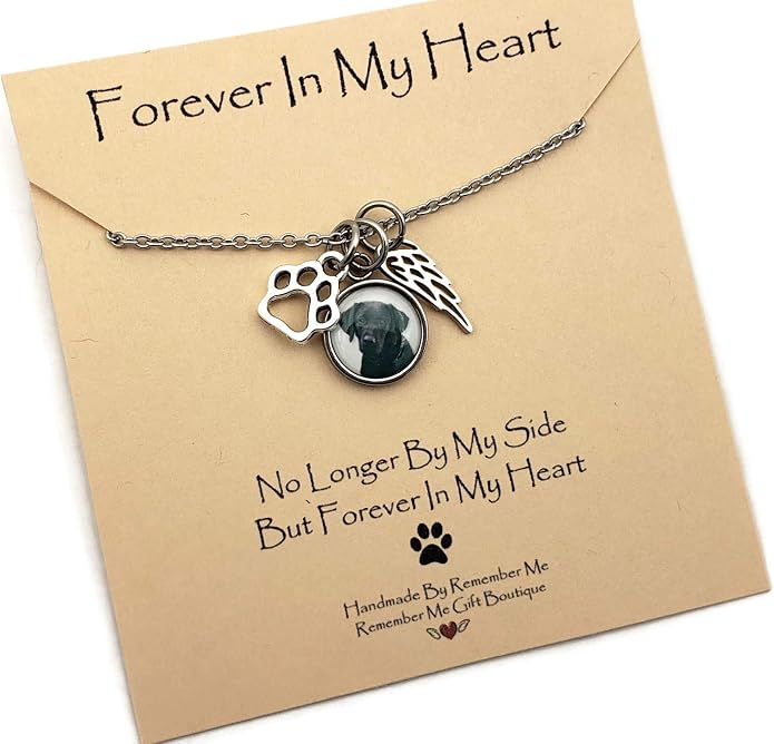 Amazon.com: Pet Memorial Necklace, Pet Remembrance & Sympathy Gifts for ...