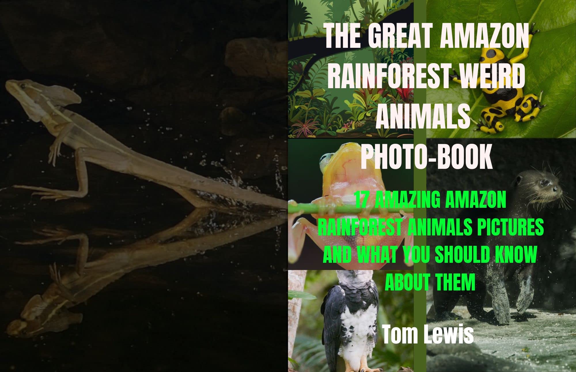 Buy THE GREAT AMAZON RAINFOREST WEIRD ANIMALS PHOTO BOOK: 17 AMAZING ...