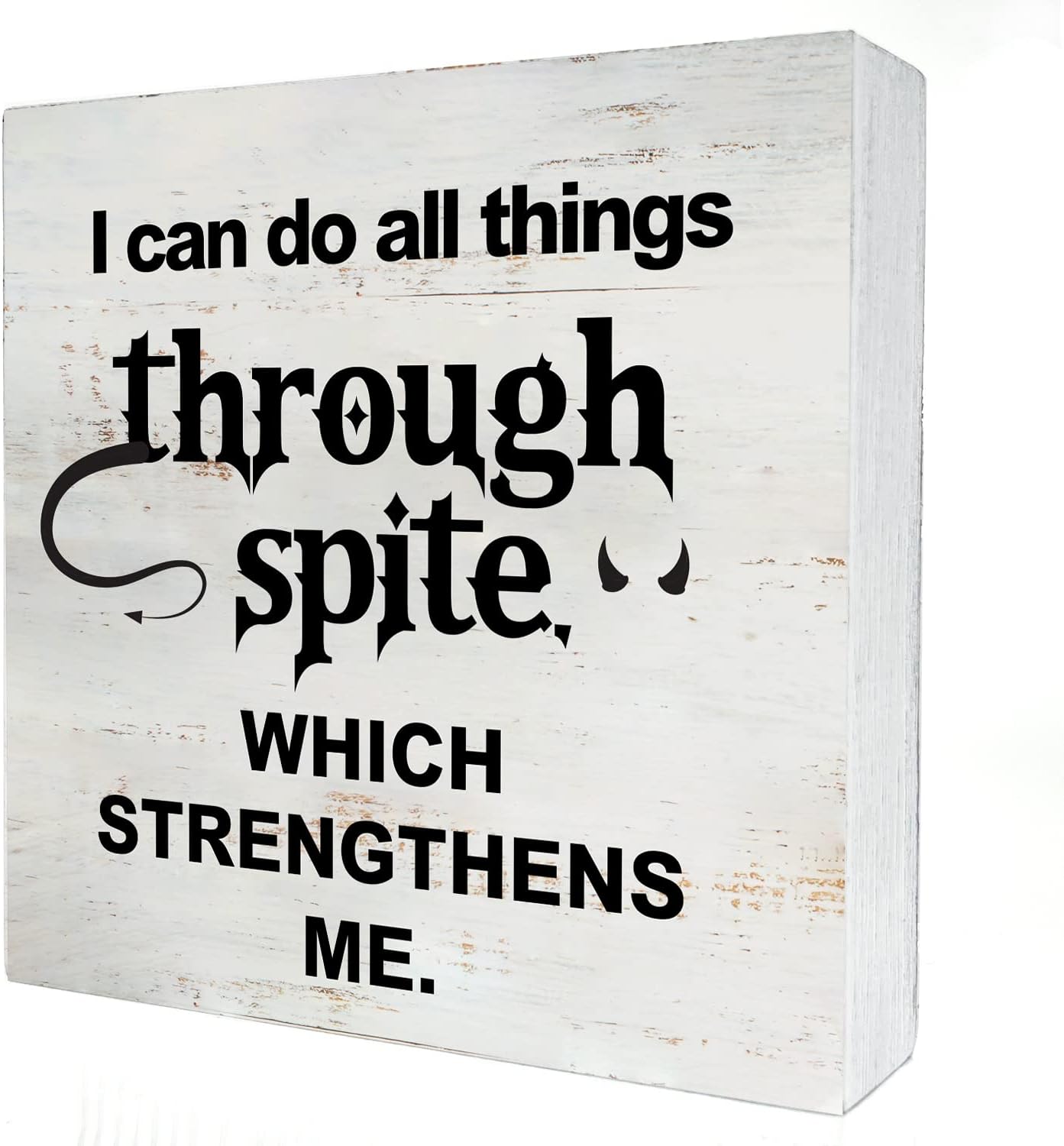 Amazon.com: I Can Do All Things Through Spite Wooden Box Sign with ...
