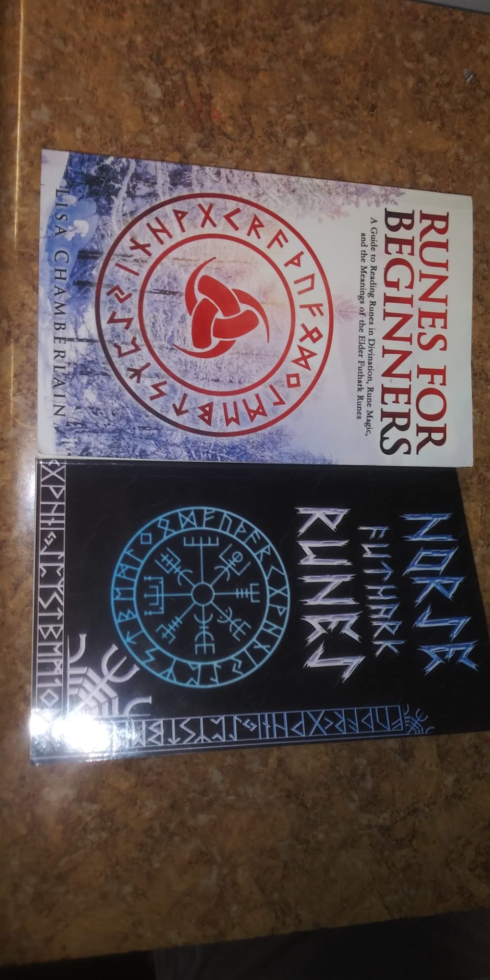 Norse Runes Handbook: Norse Elder Futhark Runes and Symbols Explained ...