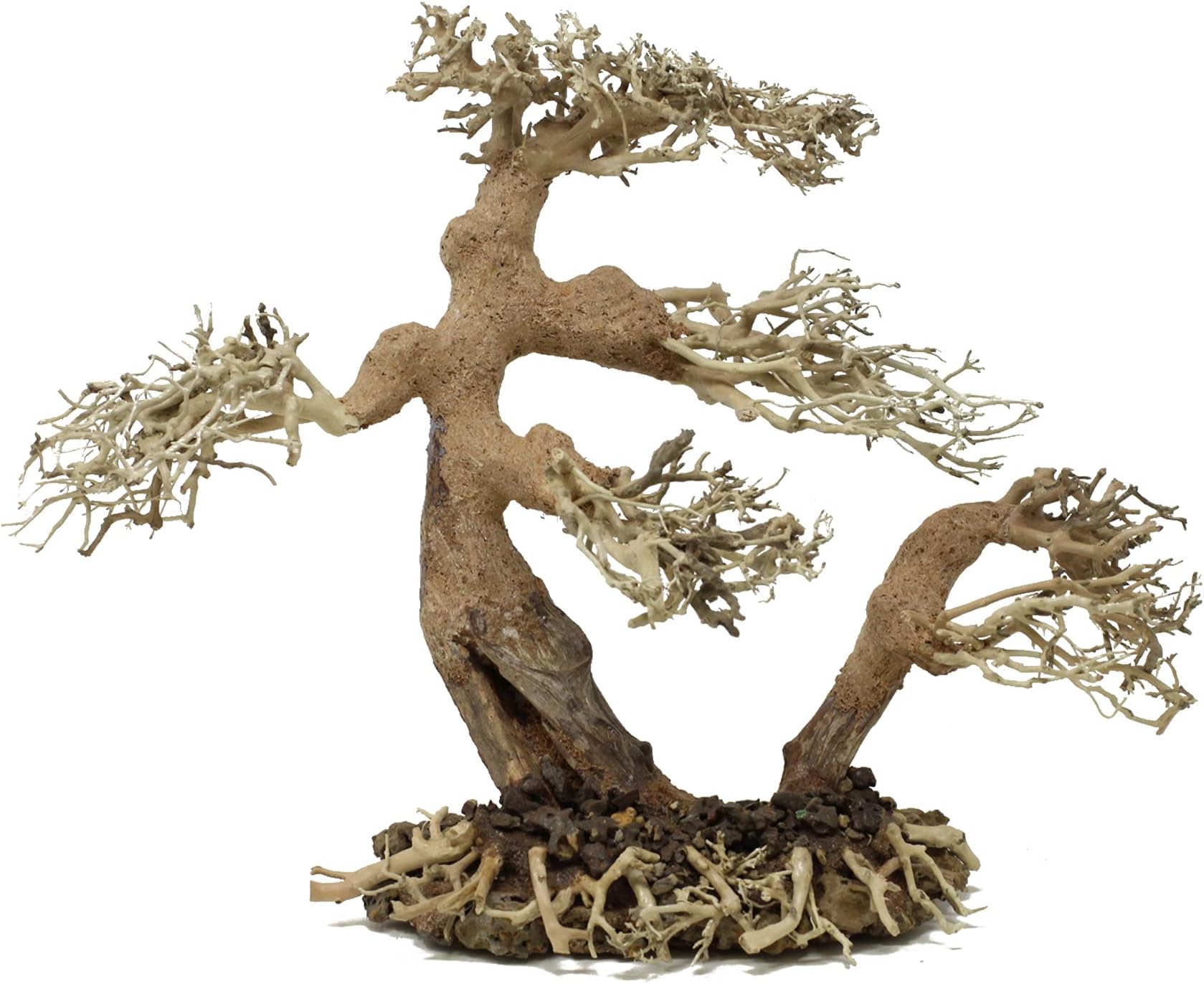 Amazon.com: Bonsai Driftwood Aquarium Tree AWM Random Pick (8in Height ...