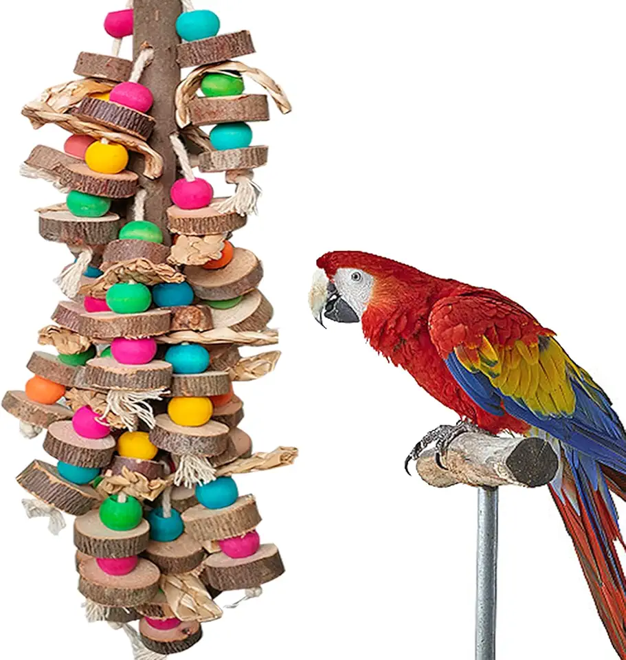 All About The Severe Macaw: Characteristics, Behavior, And Care | PetShun