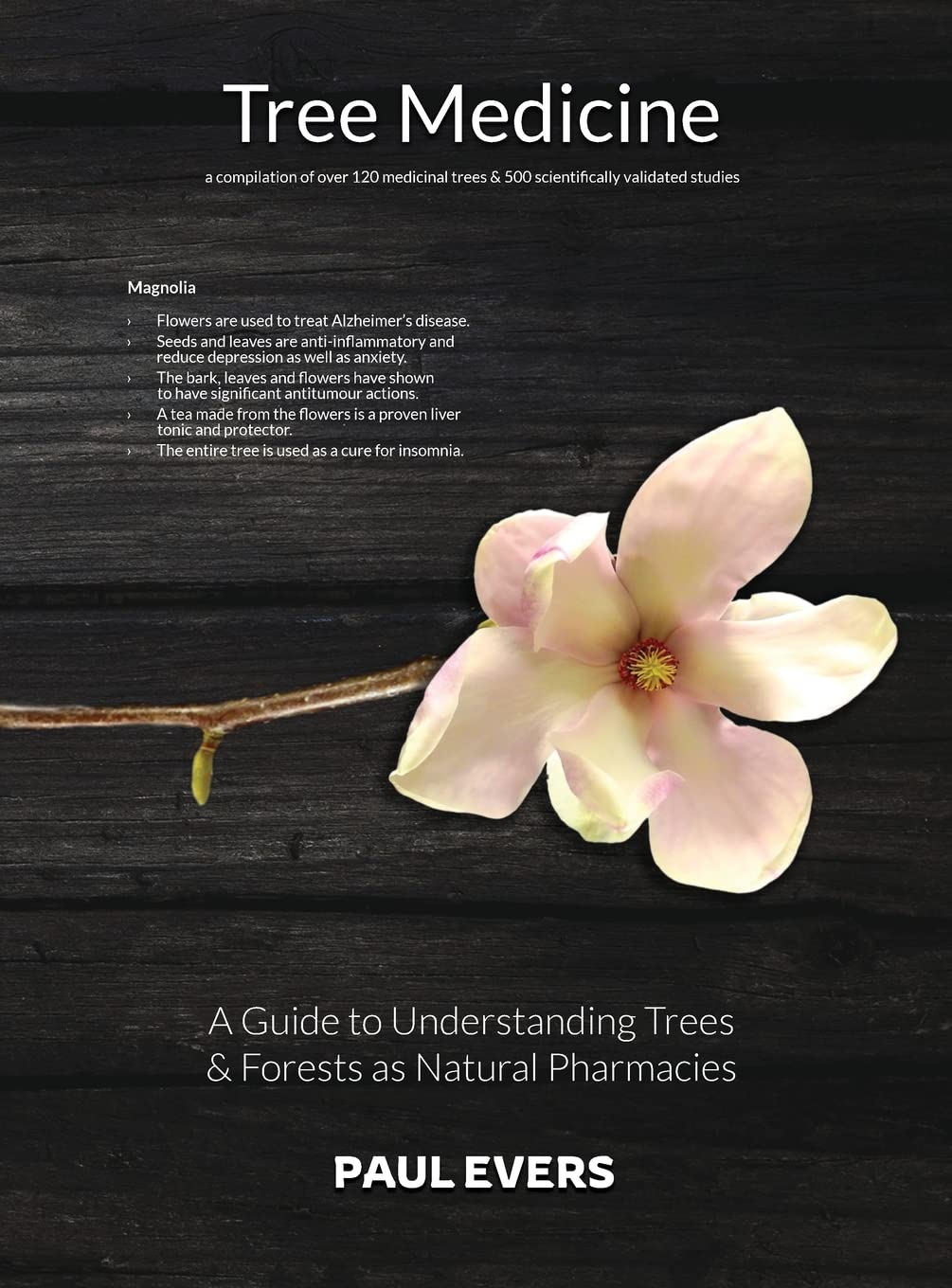 Tree Medicine A Guide To Understanding Trees And Forests As ...