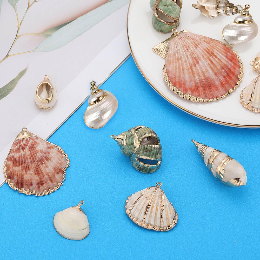 Snapklik.com : 1 Box 16Pcs 8 Styles Natural Shell Charms Bulk Seashell Charm Summer Ocean Beach ...