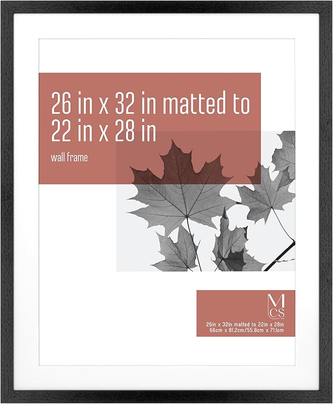 Amazon.com - MCS Studio Gallery 26x32 Matted Poster Frame with 22x28 ...