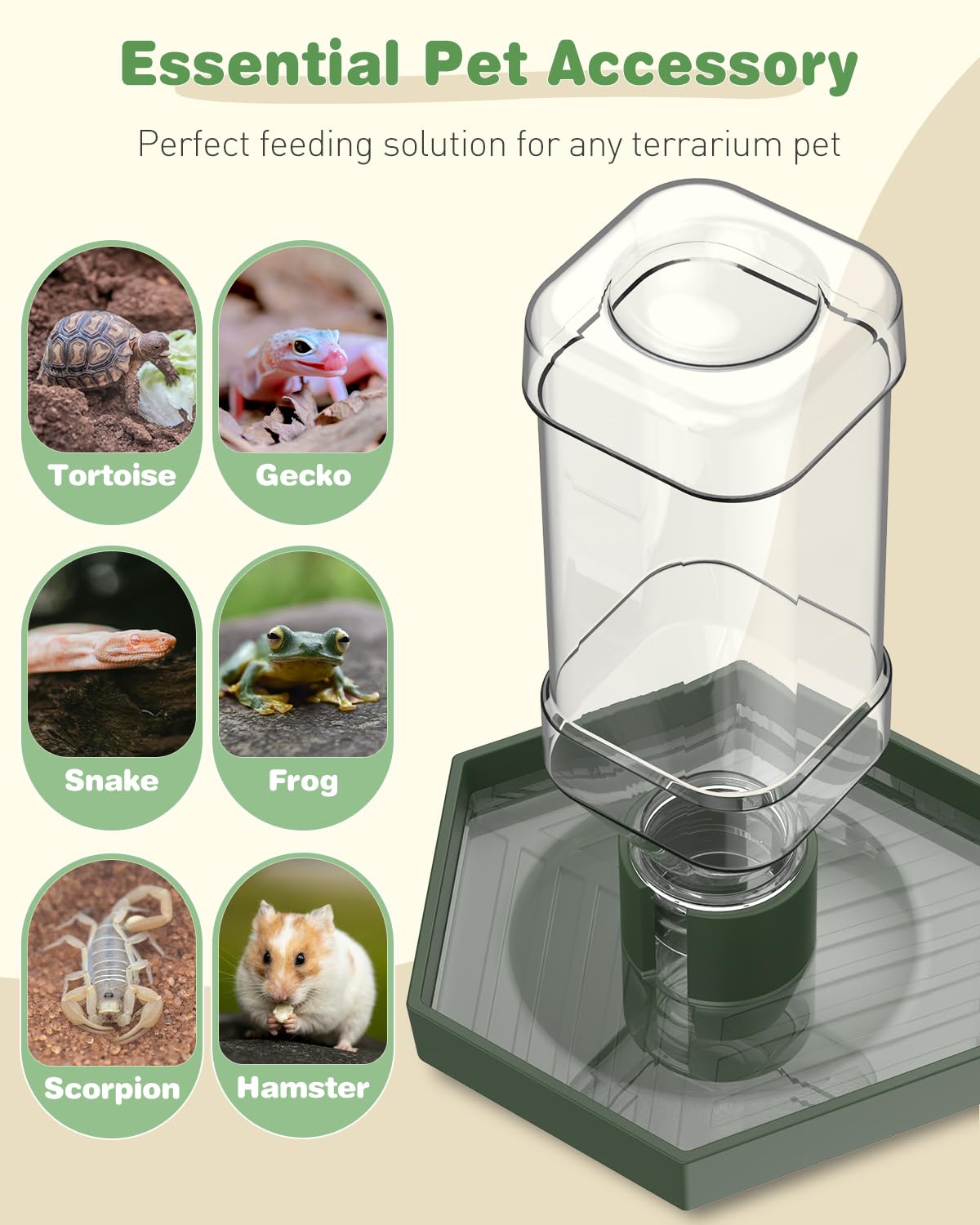 Lizard Tank Accessories 3pcs Tortoise Water Dish With Ramp Turtle Food ...