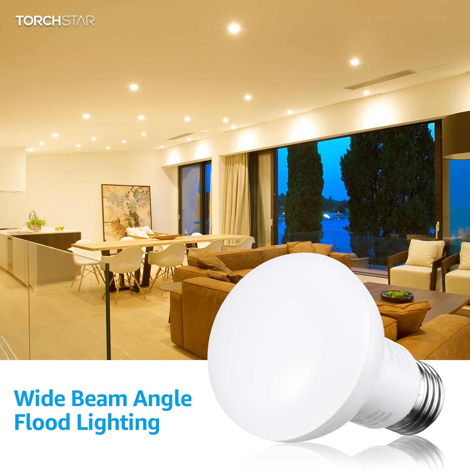 Indoor Flood Light Fixture Ceiling Olive LED Canopy Indoor Ceiling